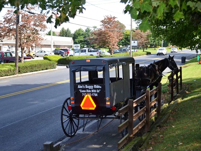 Rush hour in Bird-in-Hand means something entirely different when buggies outnumber cars.