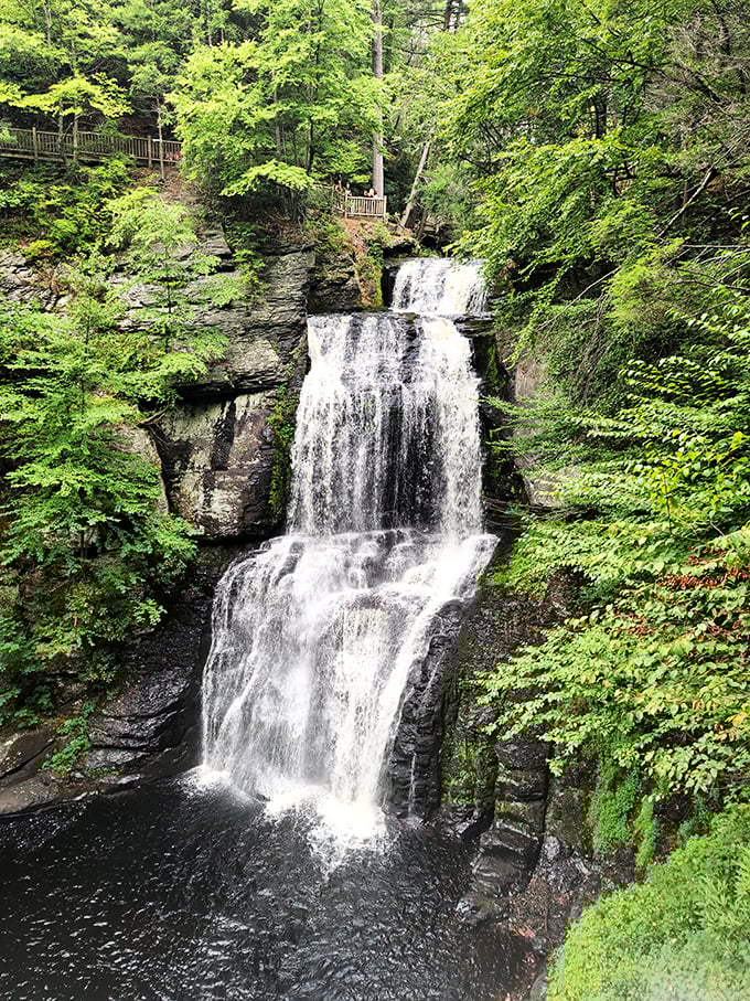 Bushkill Falls' cascading waters create nature's ultimate staircase&mdash;no StairMaster membership required for this breathtaking view.