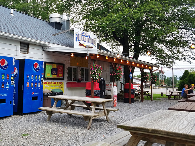 Eddie's Footlong Hot Dogs looks like summer vacation incarnate &ndash; string lights, picnic tables, and the promise of footlong happiness under a shady tree.