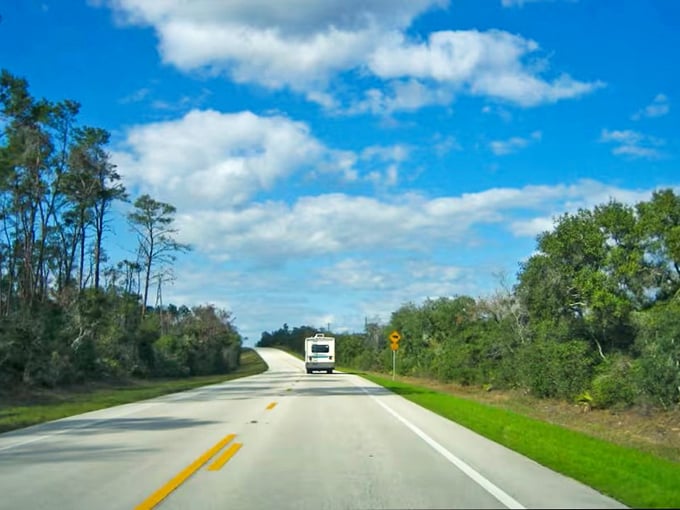 The Florida Black Bear Scenic Byway cuts through forests so lush, you'll swear you've stumbled into a Tolkien novel.