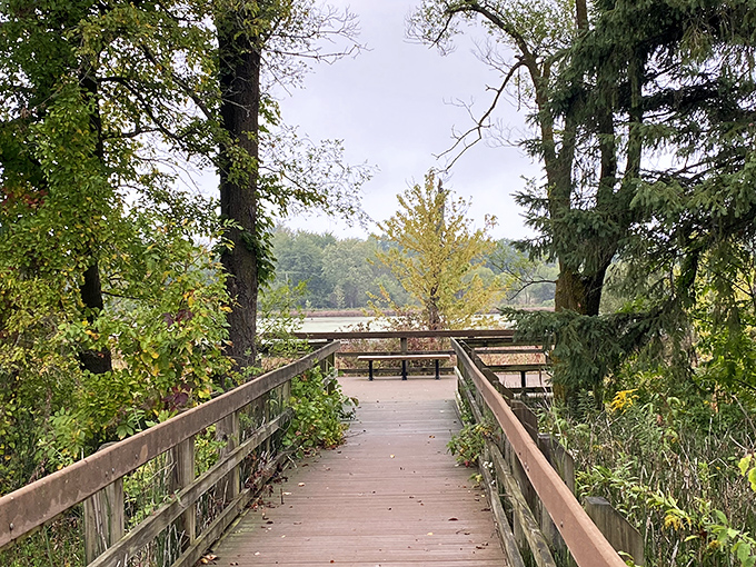 Indiana Dunes proves the Midwest can do beaches too&mdash;sand dunes and wetlands creating an ecosystem that feels delightfully out of place yet perfectly at home.