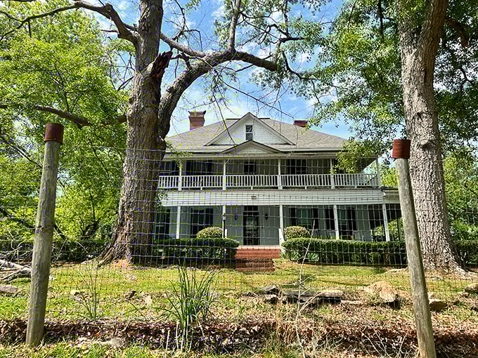 The simple wooden structures of Jarrell Plantation show how most Georgia farmers actually lived—no columns or grand staircases here!