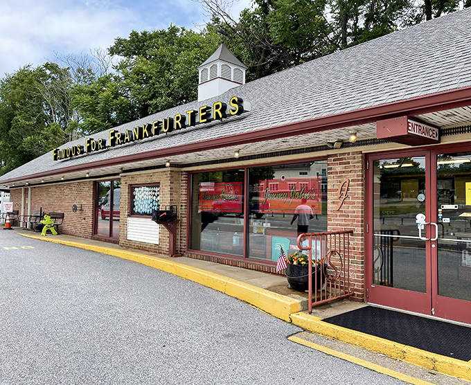 Jimmy John's outdoor seating area&mdash;where picnic tables and string lights create the perfect hot dog ambiance.