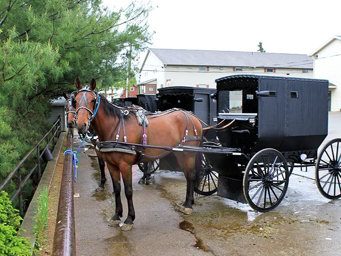 Where horses have the right of way. This buggy parking area is the Amish equivalent of premium downtown parking.