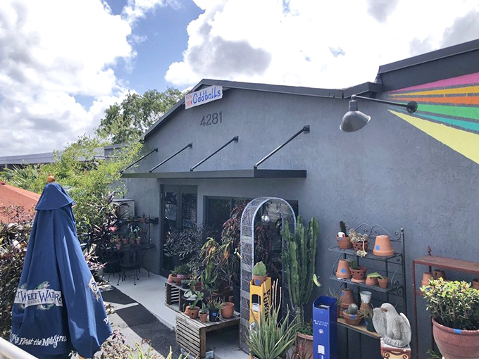 Oddballs lives up to its quirky name with an entrance garden that says, "Normal shopping? Not today, friend!"