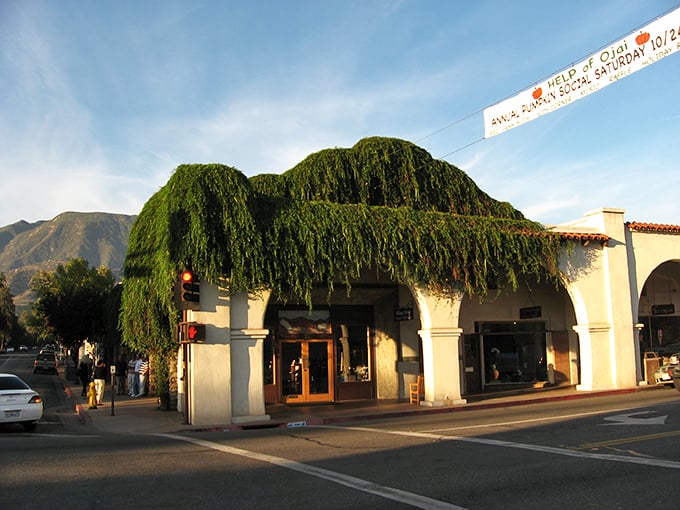 Ojai's vine-covered building looks like Mother Nature decided to give architecture a warm, green hug. Simply magical at sunset.