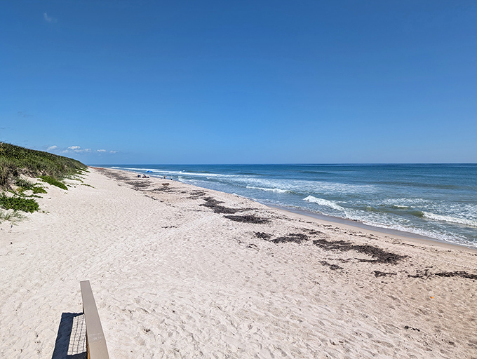 Where tall pines stand sentinel over golden sands, like nature's own welcoming committee.