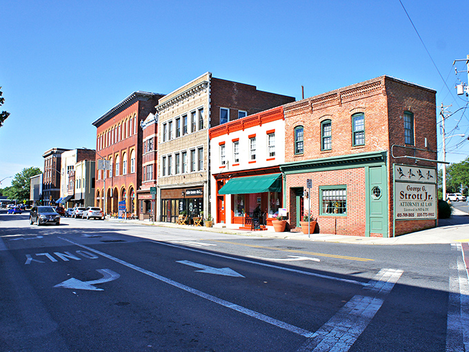 Salisbury's main street buzzes with small-town energy while maintaining that unhurried Eastern Shore pace. 