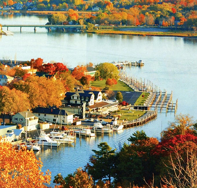 Brilliant autumn colors frame the charming waterfront of Saugatuck, where art, nature, and relaxation meet for the perfect weekend escape.