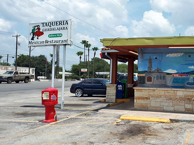 The warm orange glow of Taqueria Guadalajara feels like an invitation. Those palm trees aren't the only tropical delight waiting here.