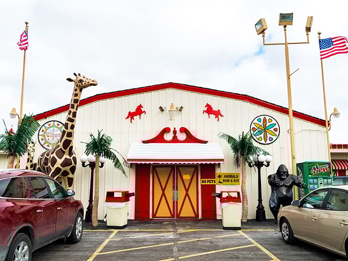 Is it a circus or a market? At Traders World, the answer is delightfully "yes" to both!