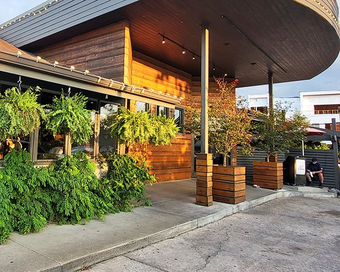 Urban Grub's modern wooden exterior and lush greenery create the perfect blend of city sophistication and natural comfort.