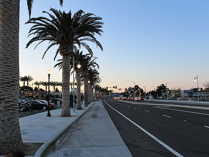 Vallejo's waterfront dining scene serves up fresh flavors with a side of stunning bay views. 