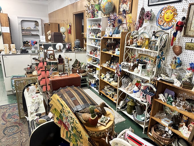 Every corner tells a story in this intimate space where vintage meets modern collecting passion. 