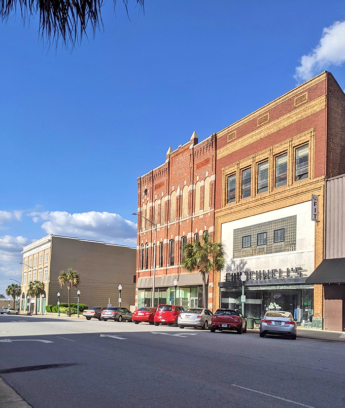 Downtown Albany reveals the perfect view, like someone took urban planning seriously and added a generous dash of warmth.