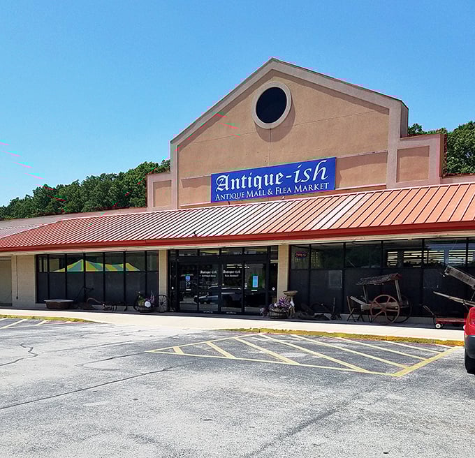 Rustic displays showcase treasures that would make any collector's heart skip a beat.