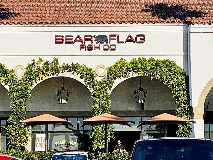 The understated elegance of Bear Flag Fish Co. belies the seafood magic happening inside. Where California casual meets ocean-fresh perfection.