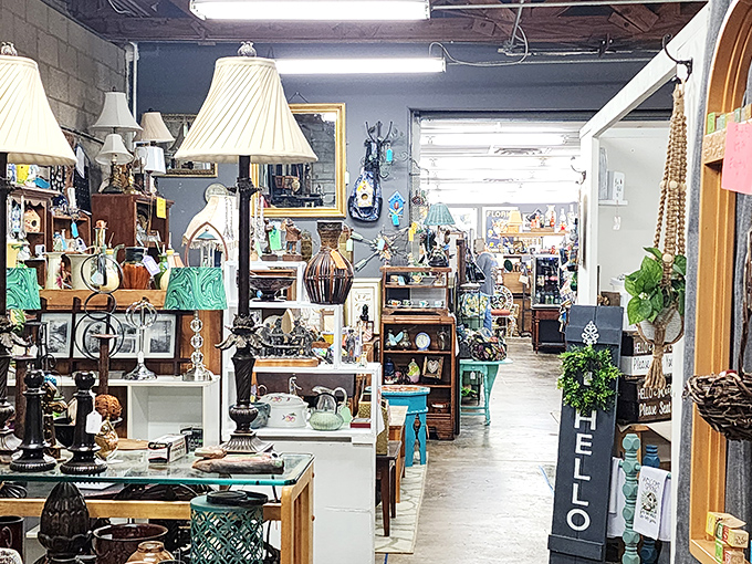 Old meets older at Blue Bird. Where Victorian elegance and mid-century charm share space in unexpected, delightful ways.