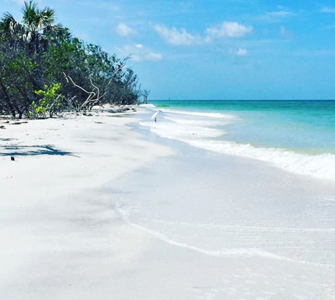 The gentle meeting of land and sea at Caladesi Island creates the perfect backdrop for life's most important conversations.