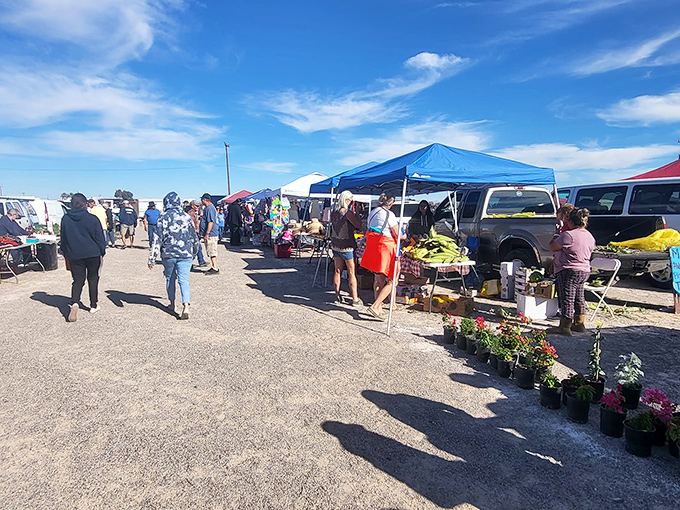 Weekend warriors gather at dawn, ready to uncover hidden gems. This small-town swap meet delivers big-time bargains without big-city prices.