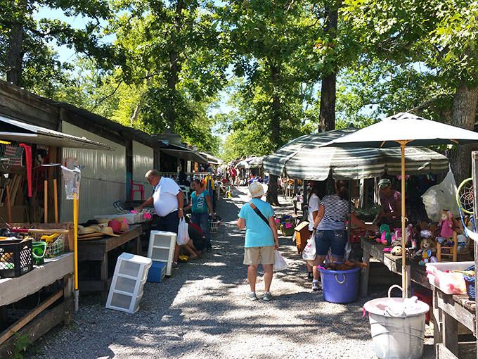 Outdoor adventure meets bargain hunting. Crossville Flea Market's rustic pathways lead to unexpected treasures.