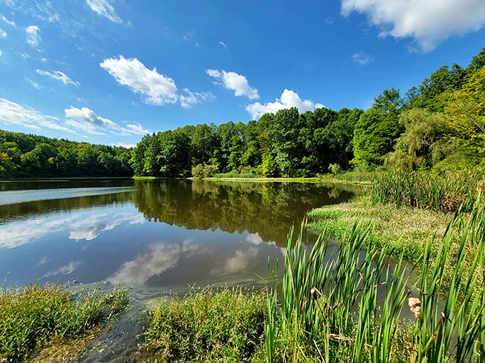 Cuyahoga Valley: The limestone cliffs and emerald pool create nature's perfect swimming hole. Just add sunshine and leave your worries on the shore.