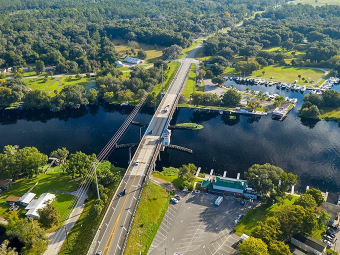 Sunlight filters through ancient trees along this woodland route, creating nature's own stained-glass cathedral.