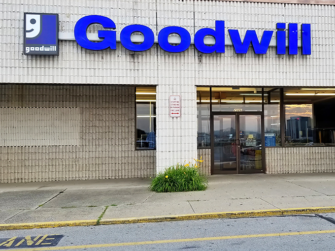The Goodwill entrance promises adventures in secondhand treasures. Those simple glass doors lead to a wonderland of possibilities under $20.