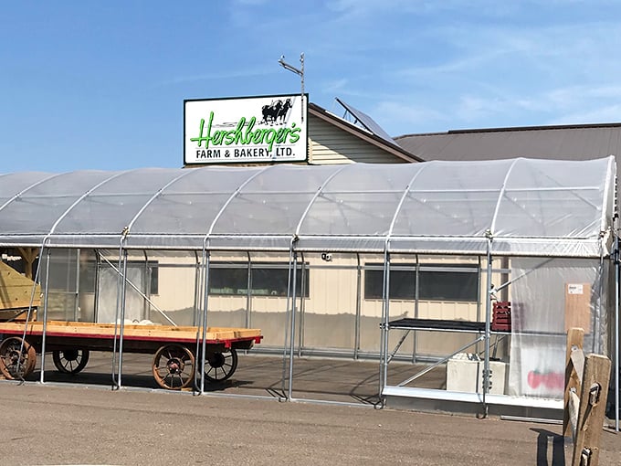 That greenhouse isn't just growing plants &ndash; it's growing the ingredients for your next unforgettable breakfast experience.