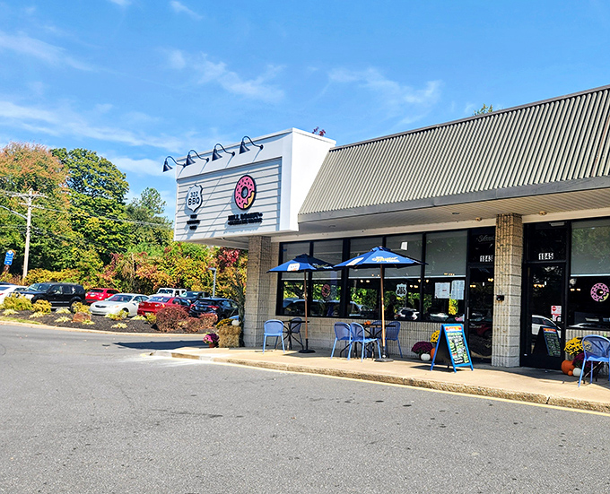 The perfect pairing: donuts and pancakes living harmoniously together like breakfast's power couple.