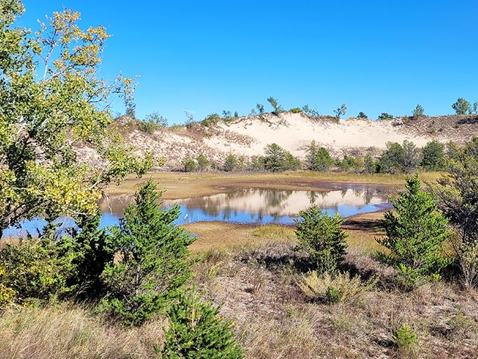 The dunes meet forest in a landscape so diverse you'll wonder if Mother Nature was feeling particularly creative when she designed this corner of Indiana.