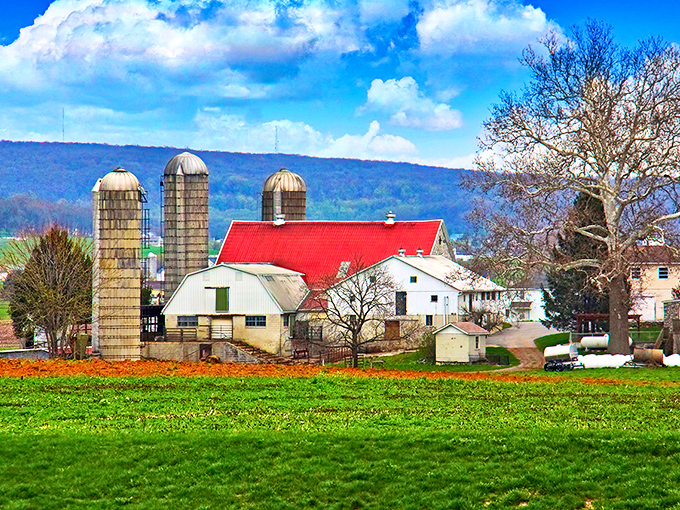 Where farm-to-table isn't a trend, it's just Tuesday. Intercourse's fields promise flavors that city folks dream about.