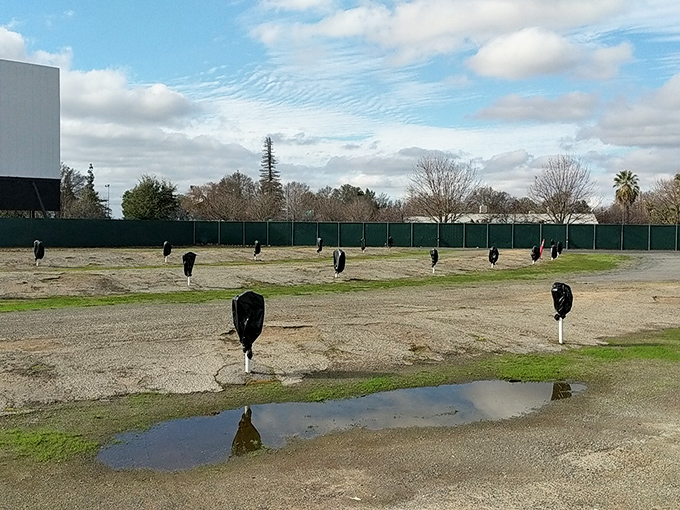 Rural California meets Tinseltown at Madera Drive-In, where farm trucks and family sedans share the same view.
