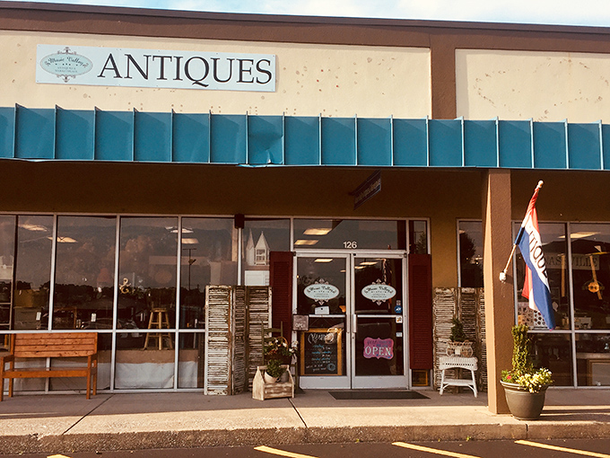 Music Valley's organized chaos is a collector's dream. I could spend hours just browsing those illuminated display cases!