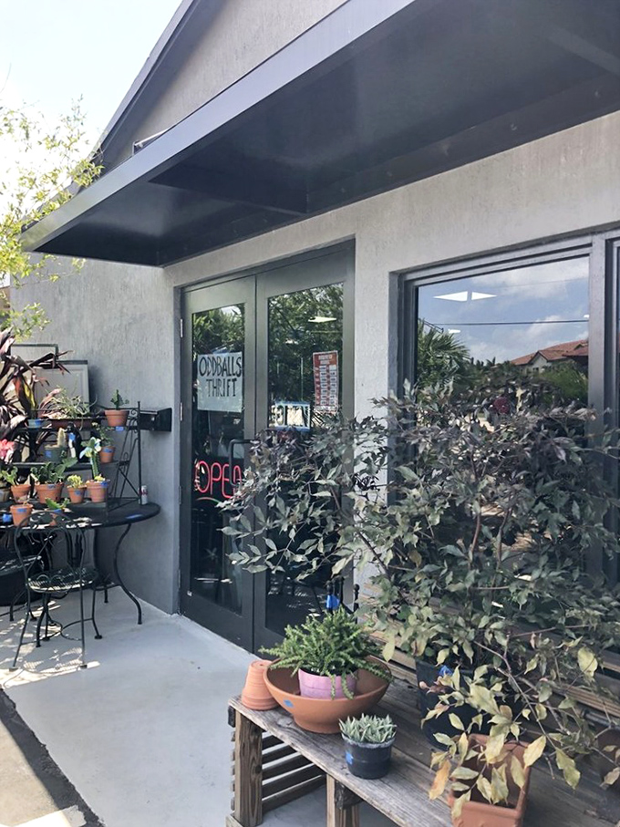 Plants, pots, and peculiar finds create the perfect welcome mat. This isn't just thrifting&mdash;it's an adventure in eccentricity!