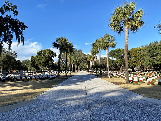 When Spanish moss becomes nature's chandelier, every drive transforms into a journey through living history.