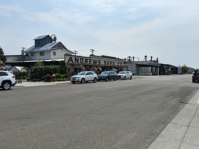 Andrews Seed Co. stands as a reminder of Ontario's agricultural roots, where life grows at a pace your retirement can afford.