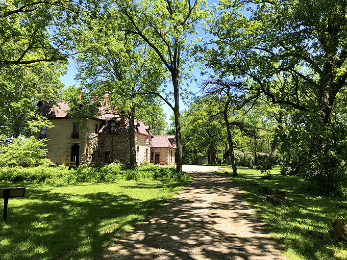 Winter reveals the bones of this Gothic beauty. Even without leaves, the castle commands attention.