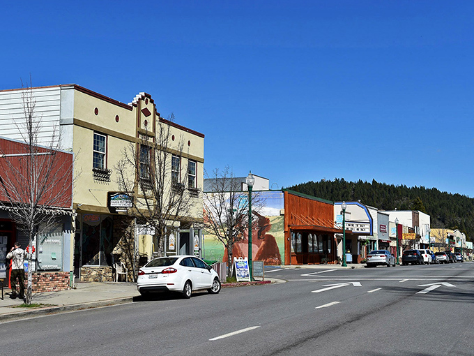 Surrounded by towering trees and mountain views, Quincy's historic buildings stand like sentinels of small-town affordability.