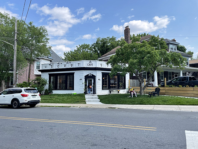 Morning sunshine bathes Scout Cafe in golden light, turning an ordinary coffee run into a moment of small-town movie magic.