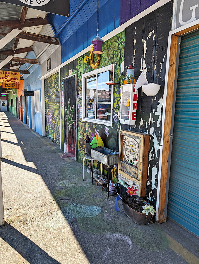 Outdoor shopping with a festival vibe! Smiley's colorful stalls make even a random Tuesday feel like a special event.