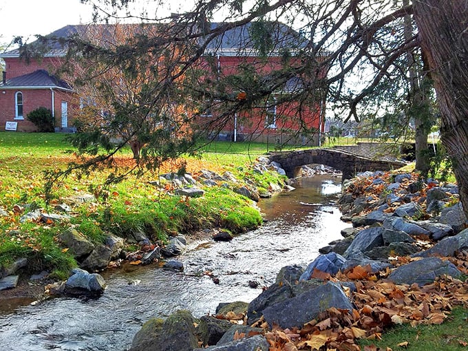 Autumn leaves scattered along the creek in Staunton offer you a peaceful moment to admire the stone bridge and scenery.