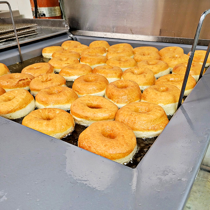 Witnessing the birth of perfect donuts—from pale dough to golden glory. Like watching butterflies emerge, but tastier and with more sugar.