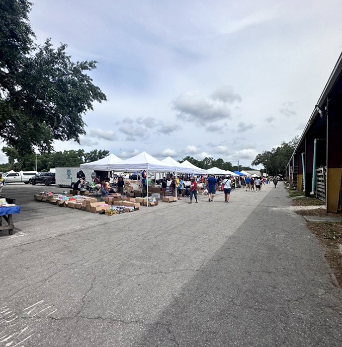 Flea market feng shui! Swap-O-Rama's simple setup lets the merchandise shine while shoppers mentally redecorate their homes with newfound treasures.