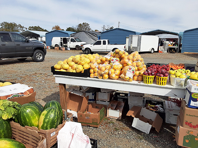 Shop till you drop without dropping from heat stroke! Barnyard's shaded shopping lanes offer the perfect blend of outdoor market feel with indoor market comfort.