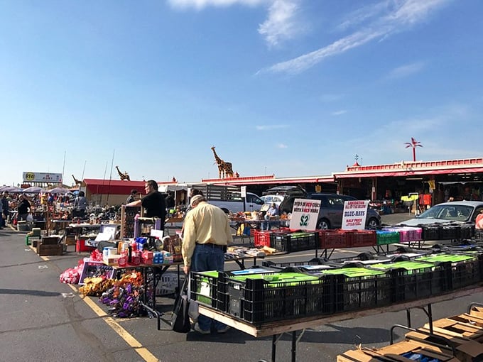 Step right up to shopping's greatest show! Where else can you find a giraffe greeting your bargain hunt?