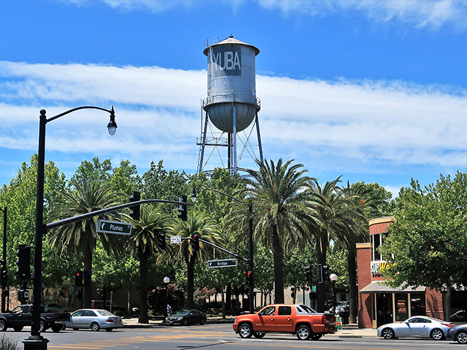 Palm trees and small-town vibes define Yuba City's streets, where your retirement budget finds breathing room away from California's coastal prices.