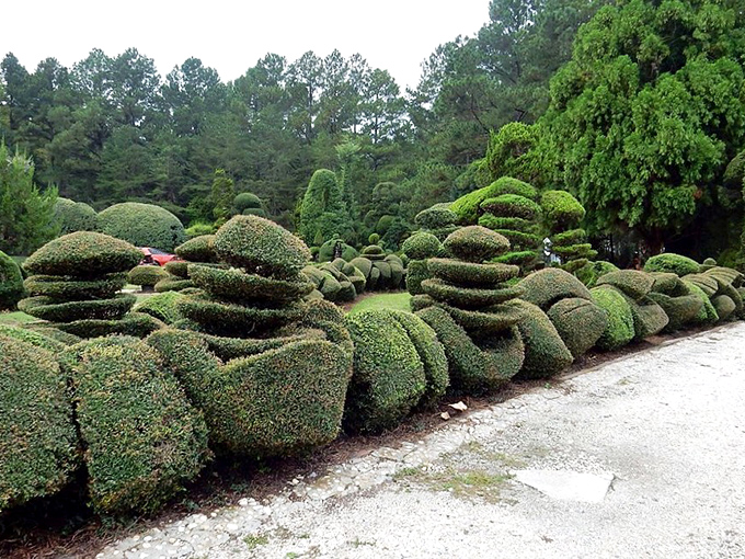 A parade of green sculptures marches along the driveway, each one seemingly caught mid-dance. Edward Scissorhands would be taking notes!