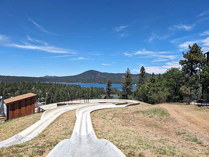 The Alpine Slide proves that summer sledding isn't just for those who've had too many mountain brews at lunch.