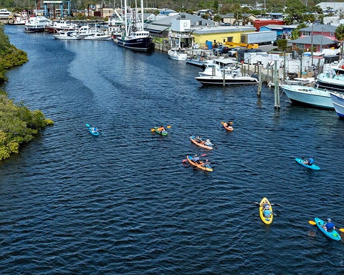 Kayakers glide through the crystal waters of Anclote River, proving sometimes the best views of Florida come at paddle-level.